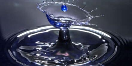 Free 10 Minute Dolphin Visualization Guided Imagery Script for Healing ...