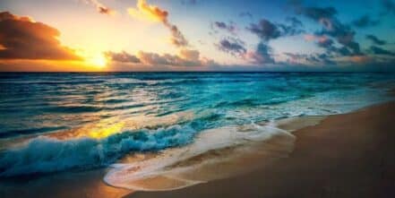 Download Free Guided Meditation Scripts