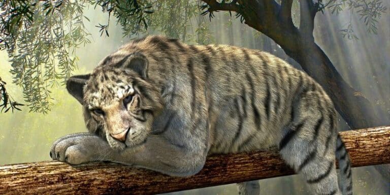 Free 15 Minute Yoga Nidra Script for Relaxation [PDF]