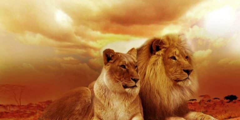 Download Free Visualization & Guided Imagery Scripts [PDF]