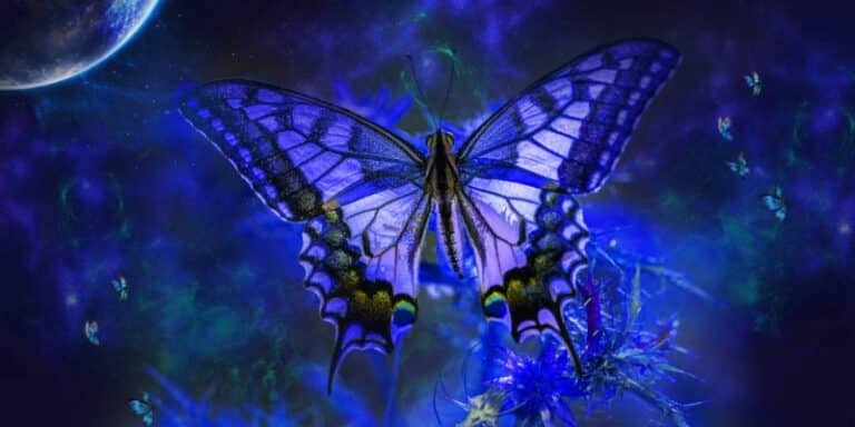 Download Free Guided Meditation Scripts [PDF]